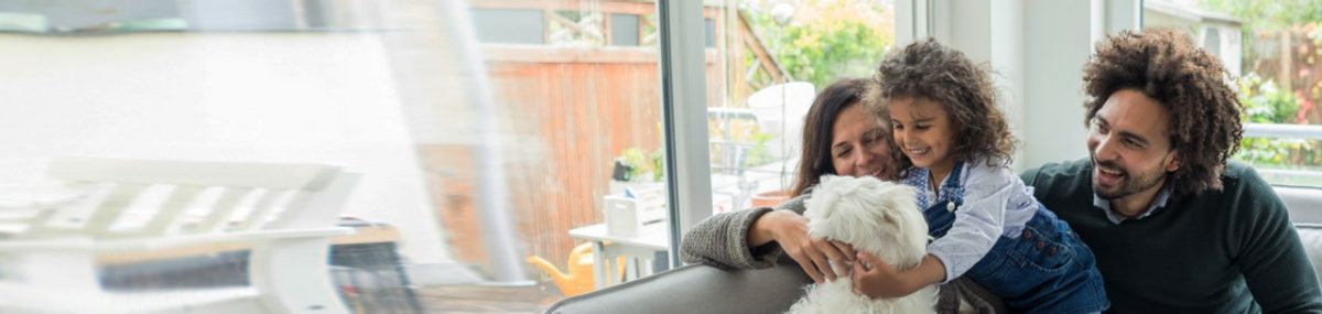 Family Health Insurance and Individual Insurance Plans | EmblemHealth