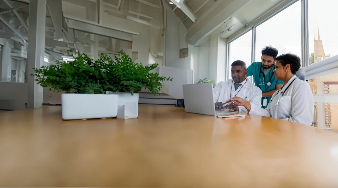 The Bridge Program | EmblemHealth